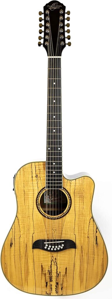 33 Best Budget 12-String Guitars (Acoustic & Electric - 2024)