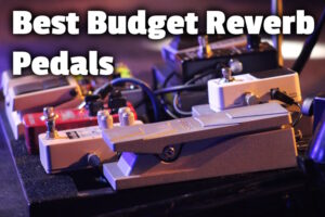 29 Best Budget Reverb Pedals (in 3 Price Ranges) - 2024